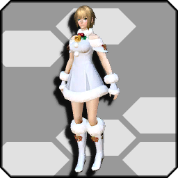 Special Costumes (Female) ~ PSO2 Cirnopedia