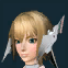 Accessory Tickets ~ PSO2 Cirnopedia